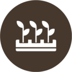 Entrepreneurship Programme - Thebe Foundation