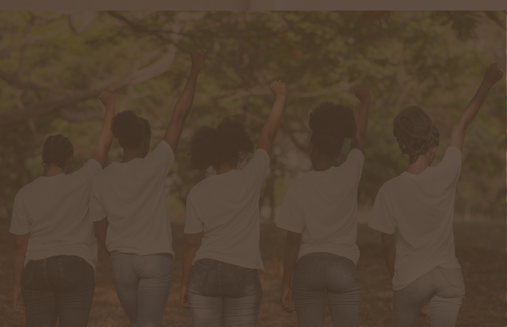 Other Impactful Initiatives - Thebe Foundation