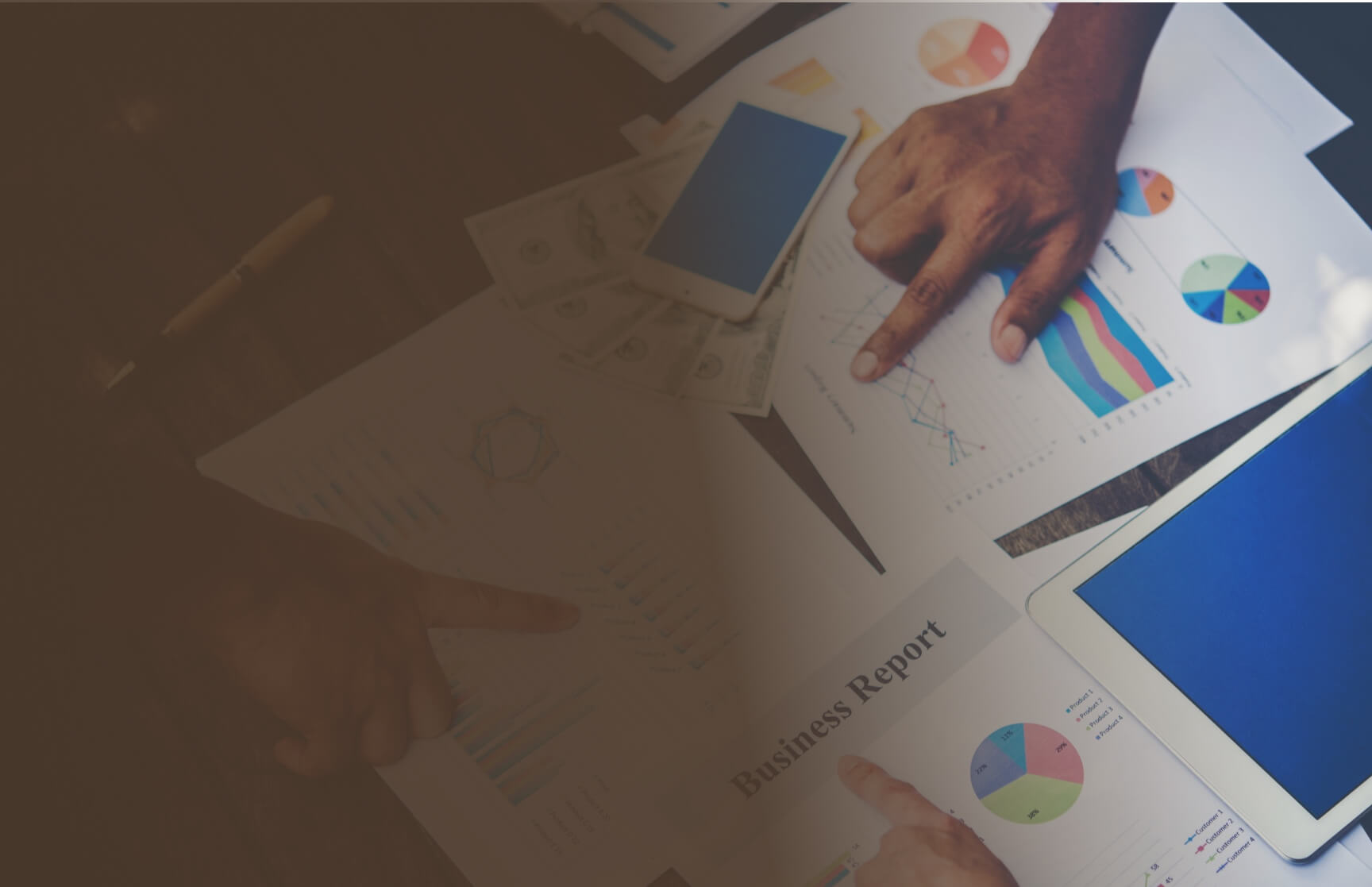 Investment Portfolio - Thebe Foundation